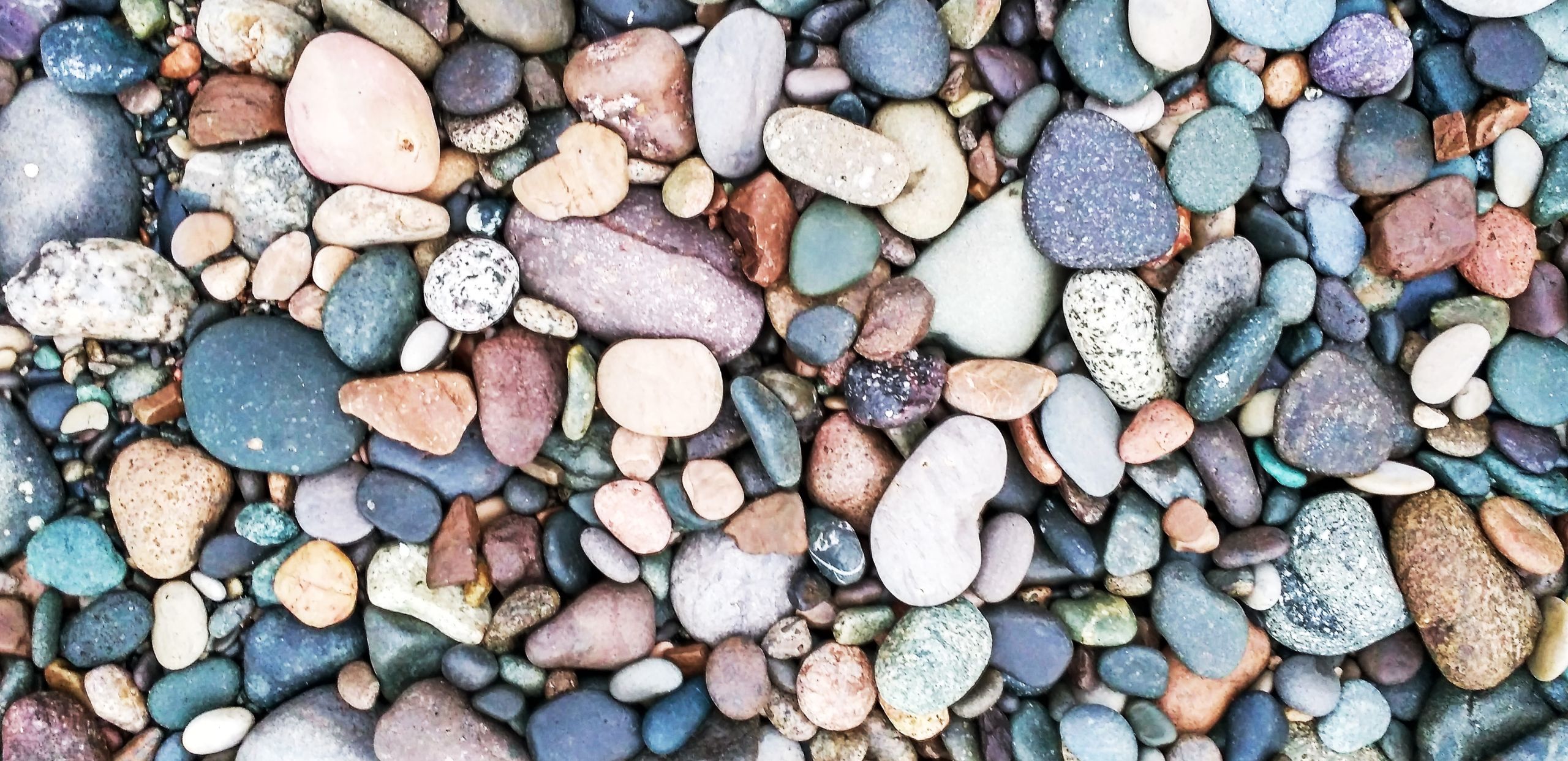 Learning to Look at Rocks - Great Hearts Institute